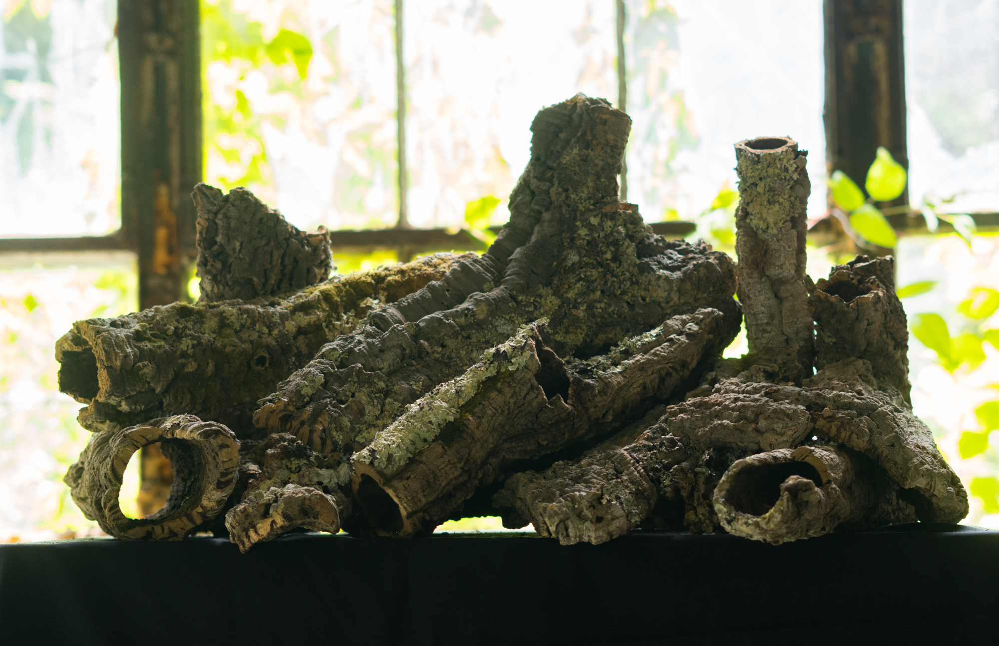 Bulk Premium Cork Bark – Northeast Cork Bark