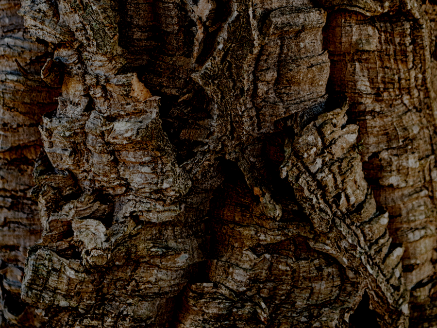 Wholesale & Bulk Natural Cork Bark Supplier | Northeast Cork Bark