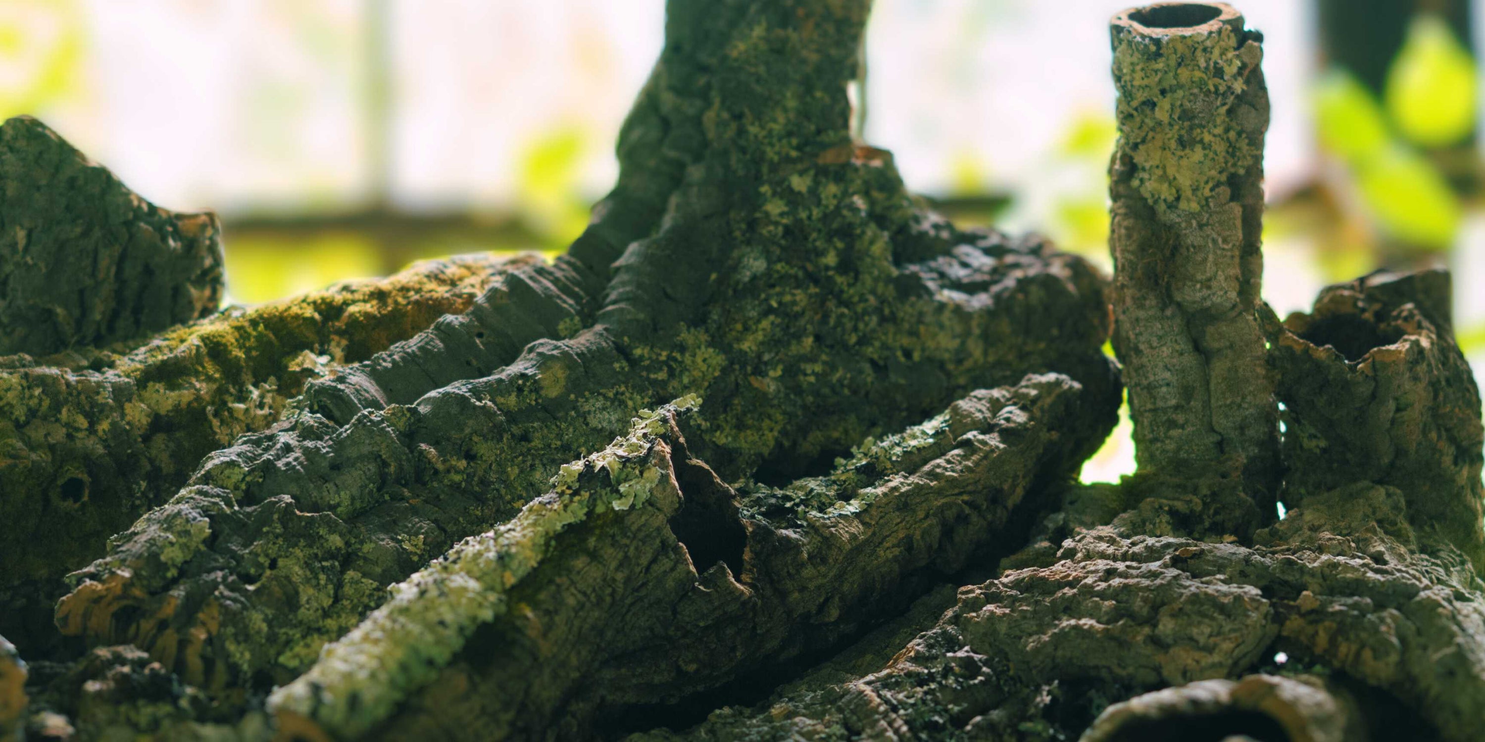 Wholesale & Bulk Natural Cork Bark Supplier | Northeast Cork Bark