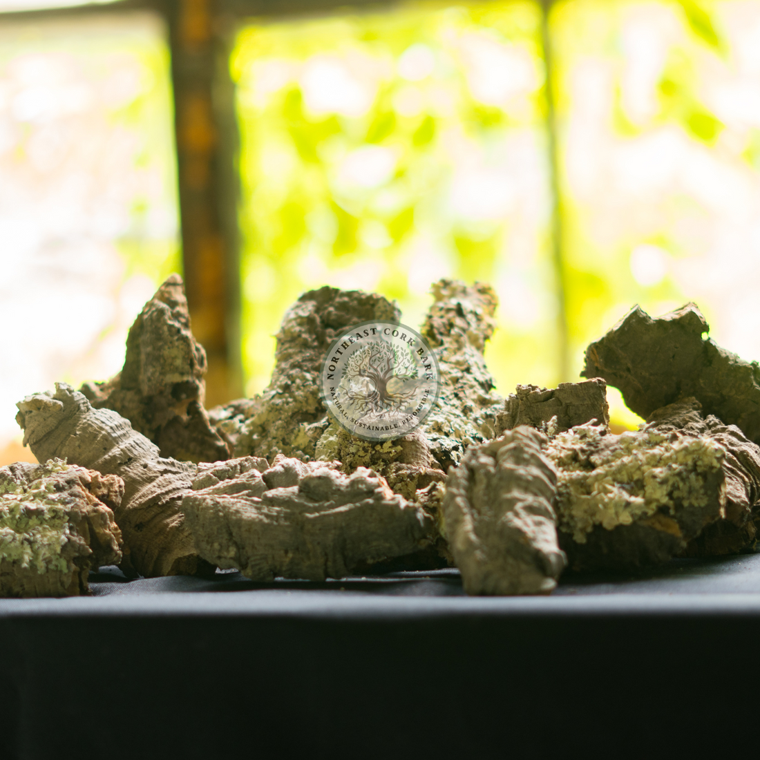Bulk Cork Bark Chunks | Natural Cork Bark for Vivariums and More ...