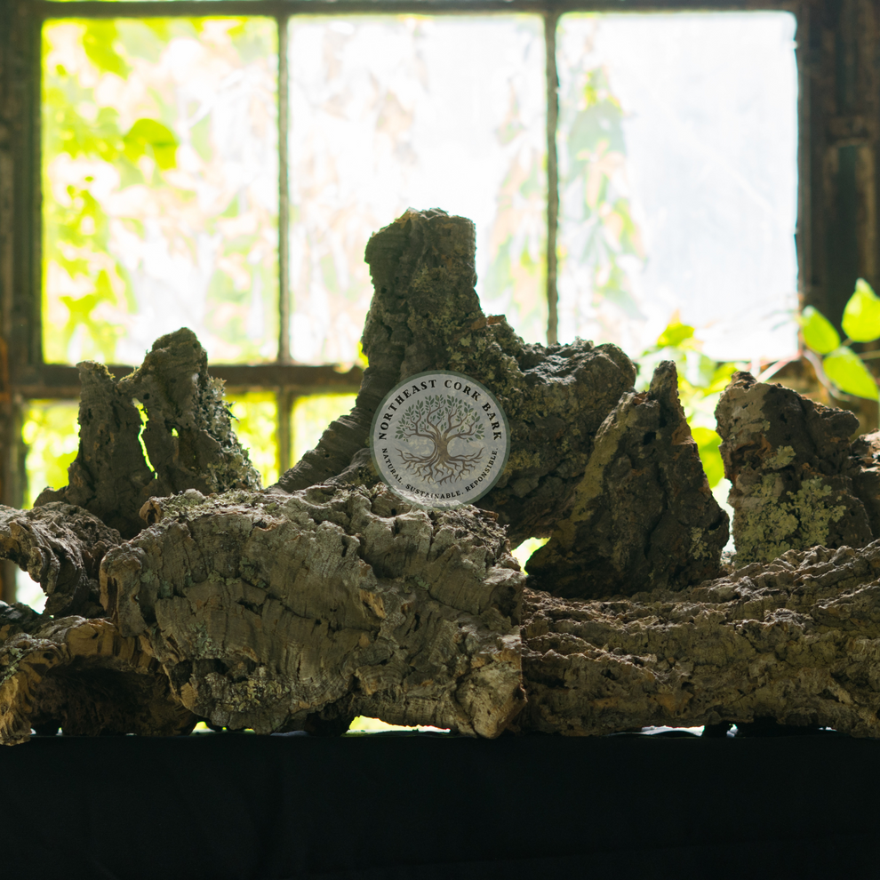 Bulk Cork Bark Flats | Natural Cork Bark for Vivariums and More ...