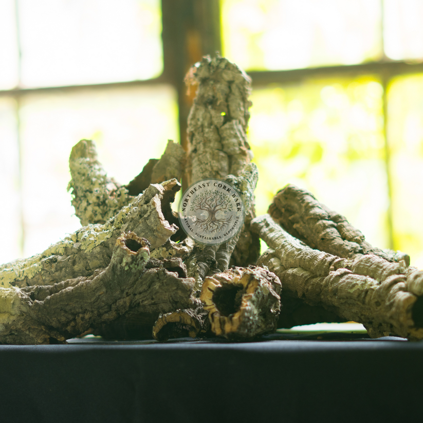 Bulk Cork Bark Rounds | Natural Cork Bark for Vivariums and More ...